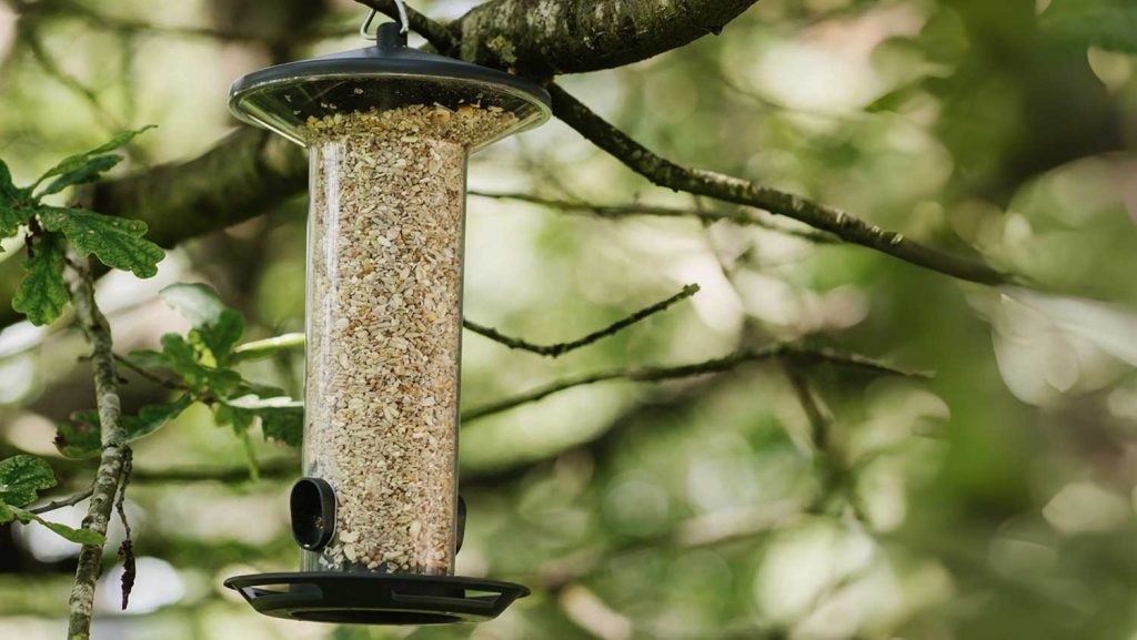 Peckish Funnel Seed Feeder – Goulds Garden Centre Weymouth